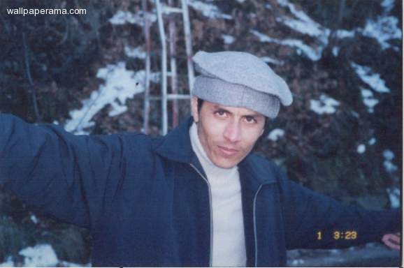 Trish - Babes Wallpapers Trish Stratus WWE Diva Wresting Tresh Status WWF